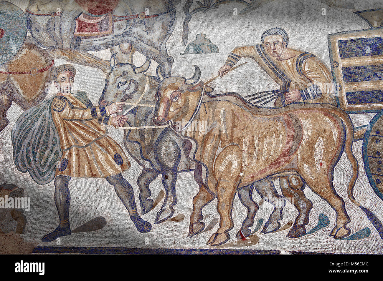 Roman wagon -Fotos und -Bildmaterial in hoher Auflösung – Alamy