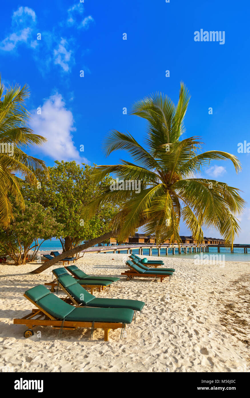 Sonnenliege am strand -Fotos und -Bildmaterial in hoher Auflösung – Alamy