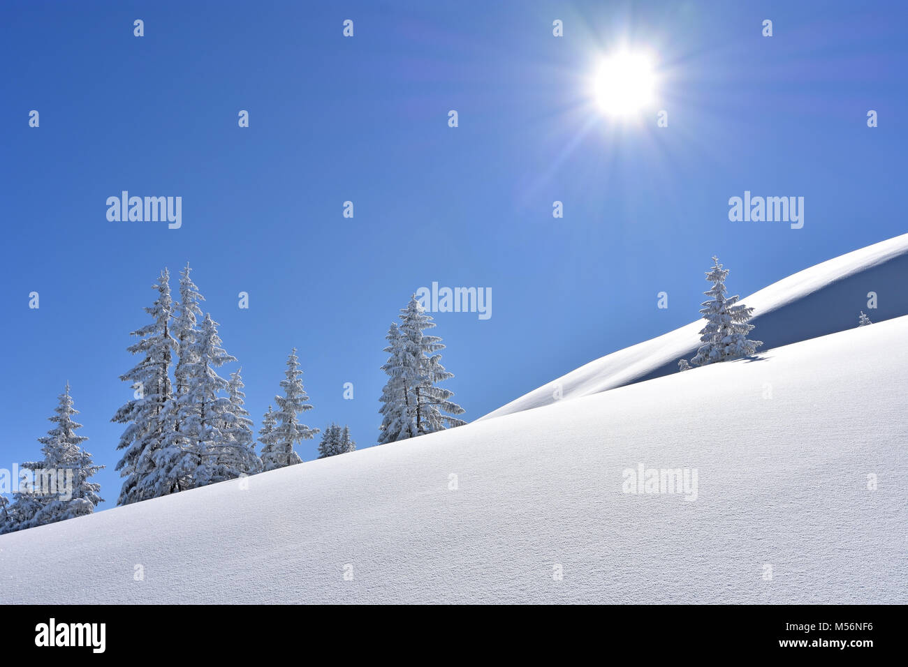Eine winterlandschaft im bayern schnee -Fotos und -Bildmaterial in ...