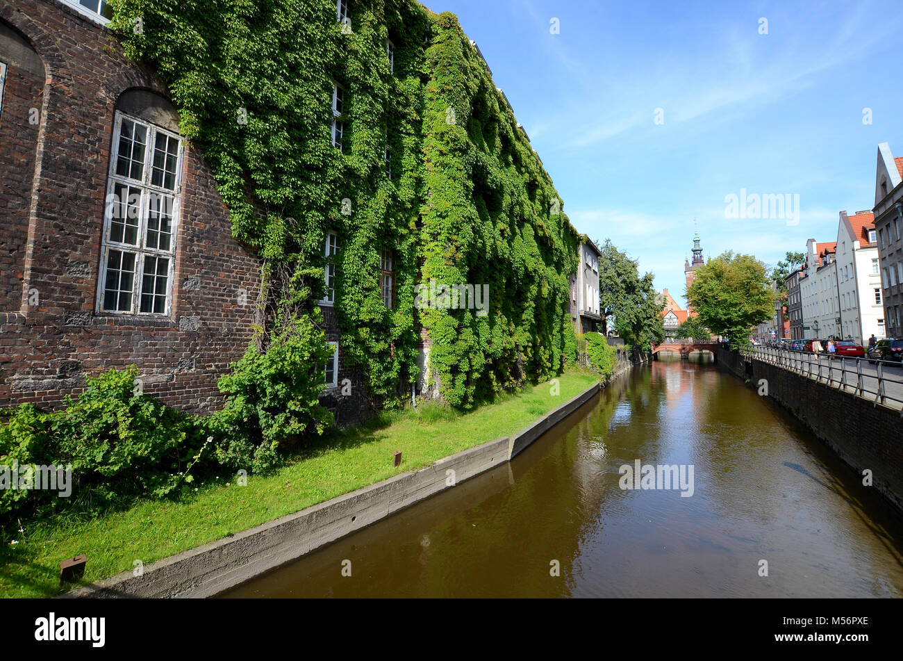 Altes haus mit efeu -Fotos und -Bildmaterial in hoher Auflösung – Alamy