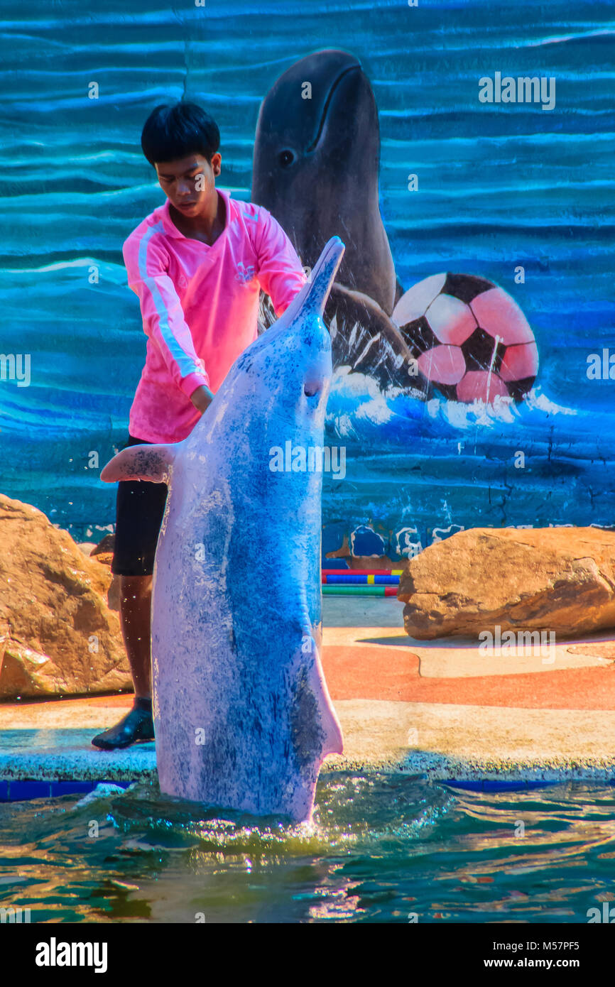 Chanthaburi, Thailand - 5. Mai 2015: Trainer ist die Lehre der Delfin ...