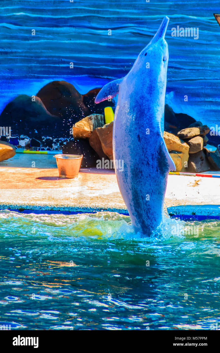Chanthaburi, Thailand - 5. Mai 2015: Trainer ist die Lehre der Delfin ...