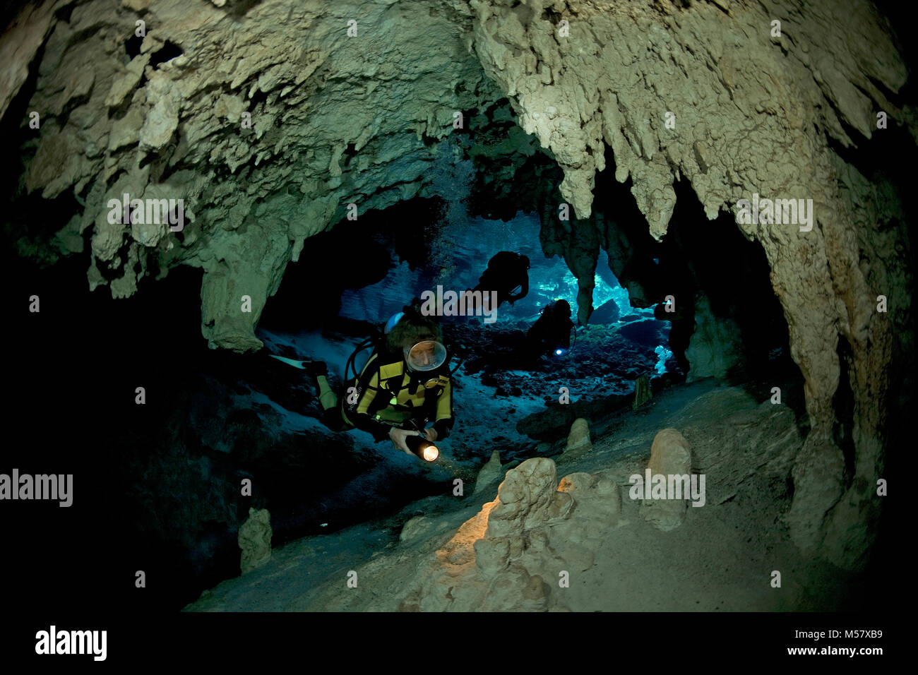 Cave Diver in der Cenote Grand Cenote, Cenoten, Tulum, Yucatan, Quintana Roo, Mexiko, der ...