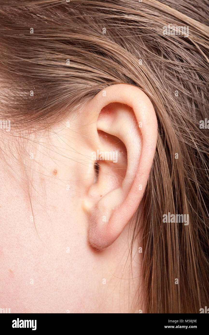 Menschliches Ohr Stockfotos und -bilder Kaufen - Alamy