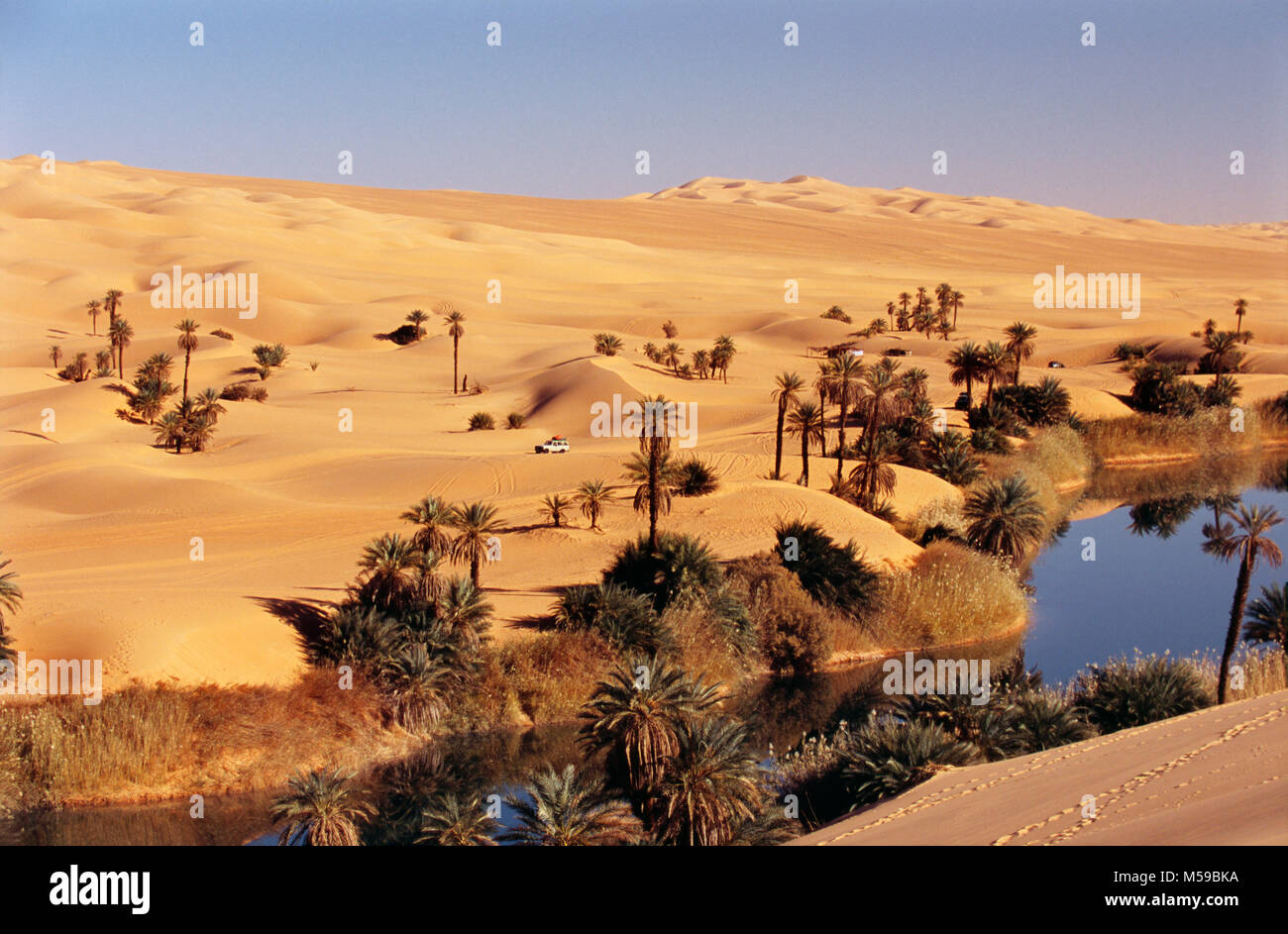 Sahara oase wasser palmen Stockfotos und -bilder Kaufen - Alamy