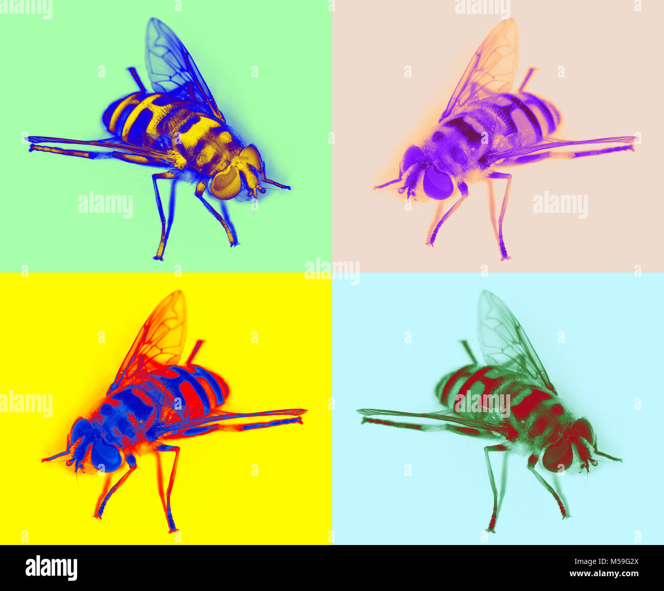 Pop art kunstwerk -Fotos und -Bildmaterial in hoher Auflösung – Alamy