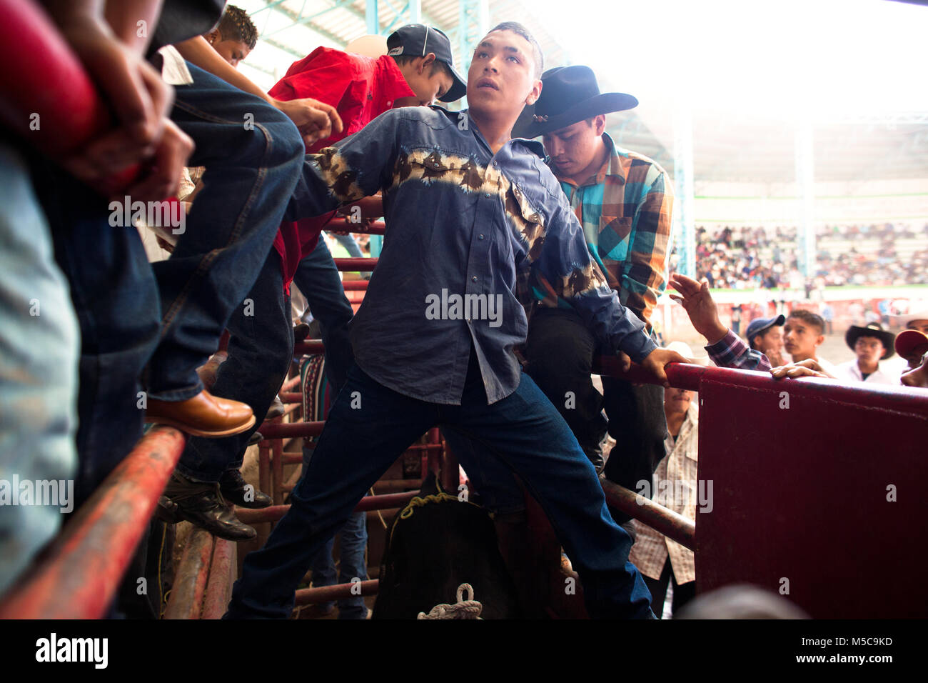 Bull riding mexican rodeo -Fotos und -Bildmaterial in hoher Auflösung ...