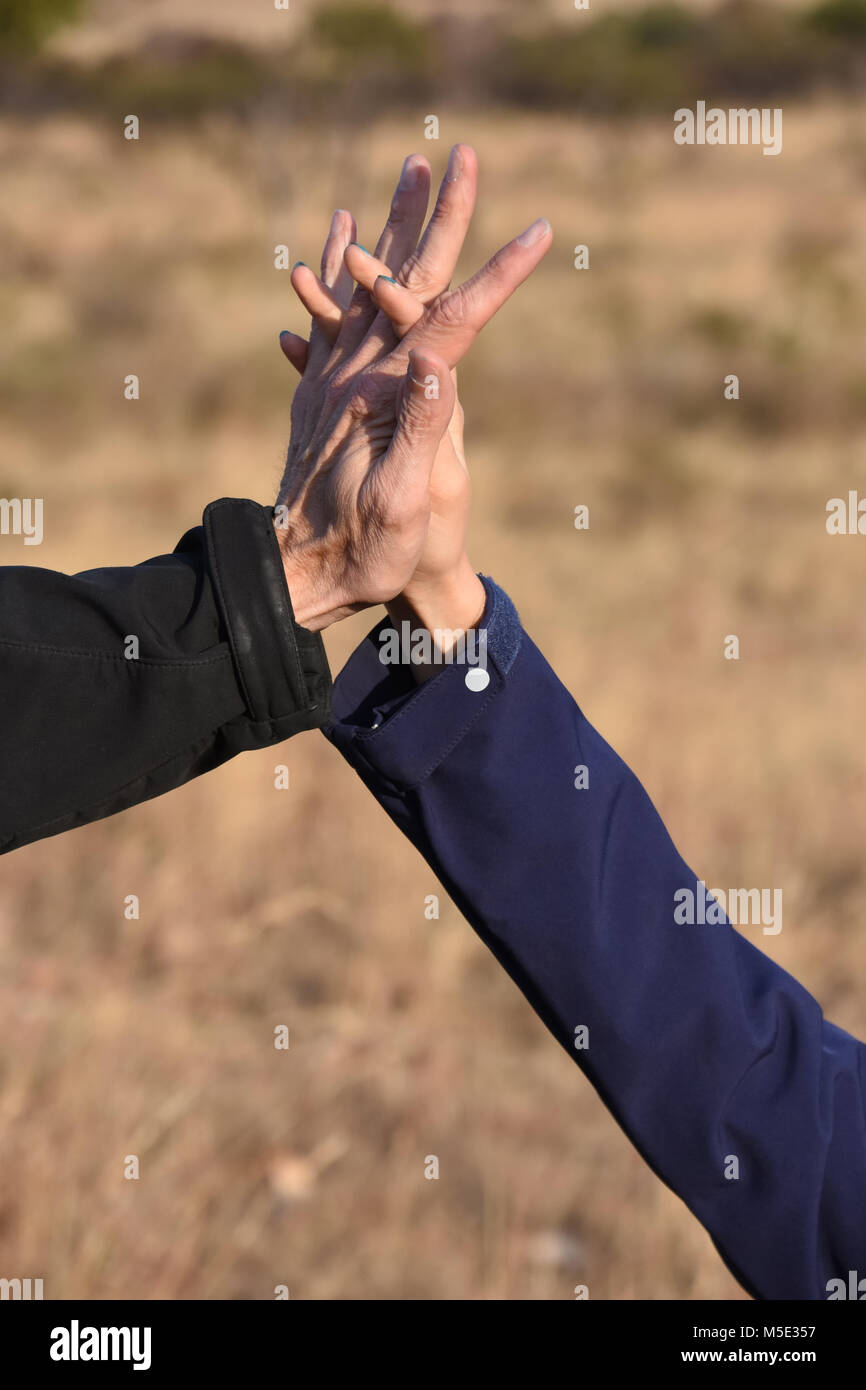 Zwei Hande Zwei Ringenull