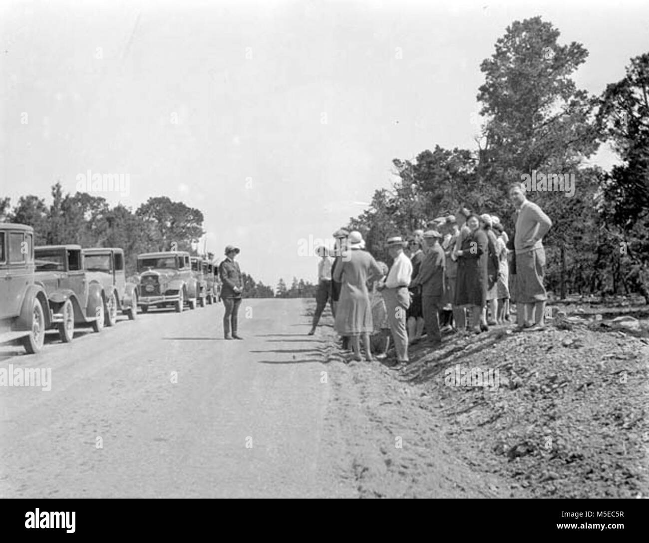 Naturalistische programme -Fotos und -Bildmaterial in hoher Auflösung ...