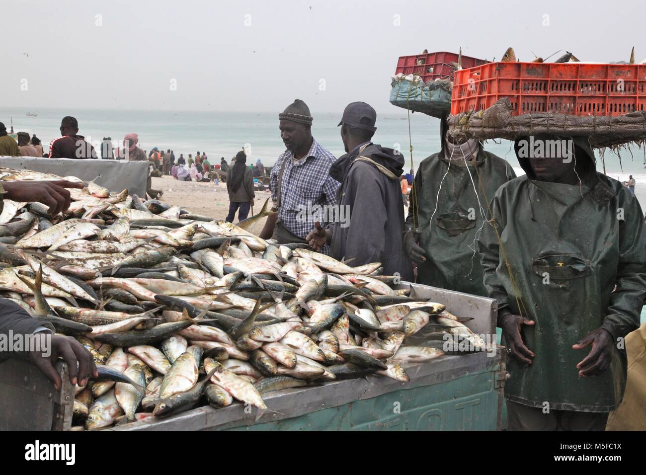 Mauritania nouakchott fish market -Fotos und -Bildmaterial in hoher ...