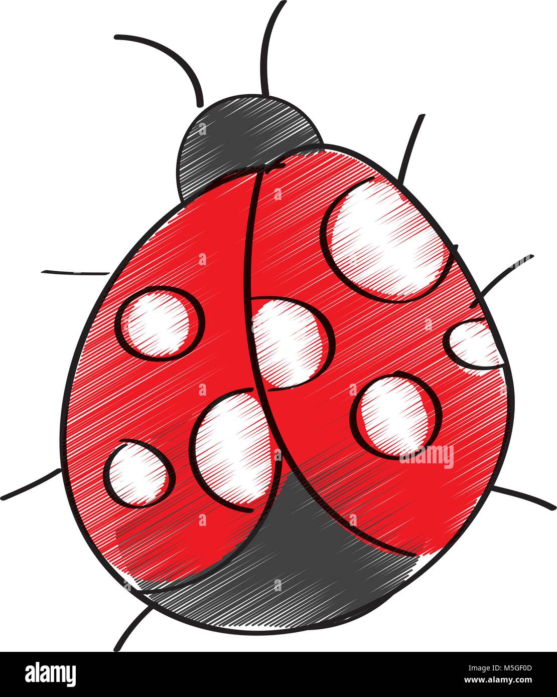 Cute insekt Marienkäfer Tier- und Pflanzenwelt Symbol Stock ...