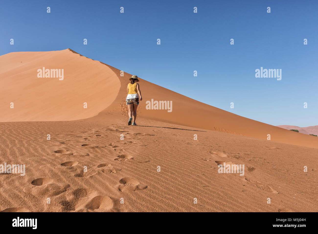 Big mama sand dune sossusvlei -Fotos und -Bildmaterial in hoher ...