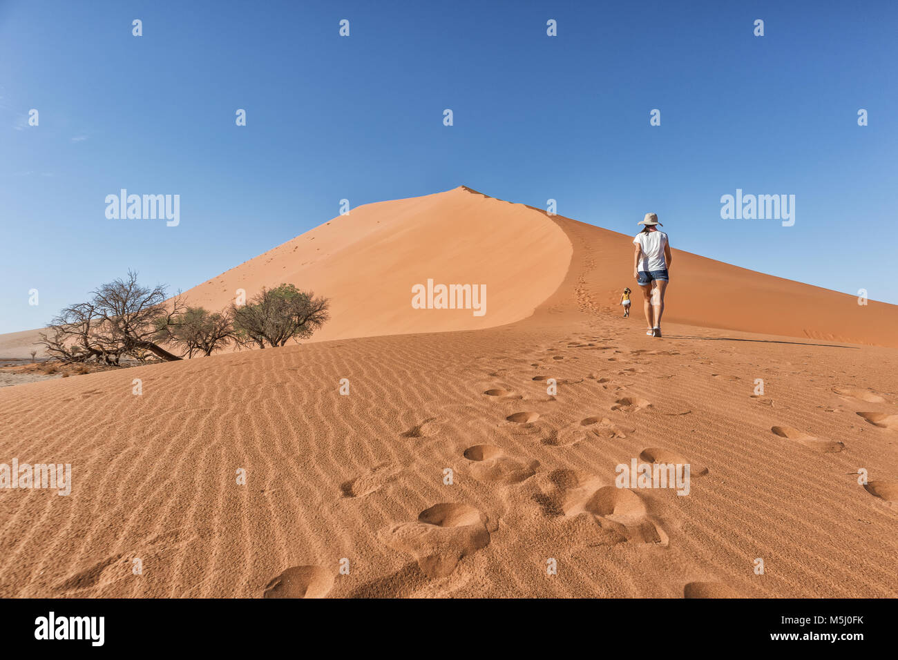 Big mama sand dune sossusvlei -Fotos und -Bildmaterial in hoher ...