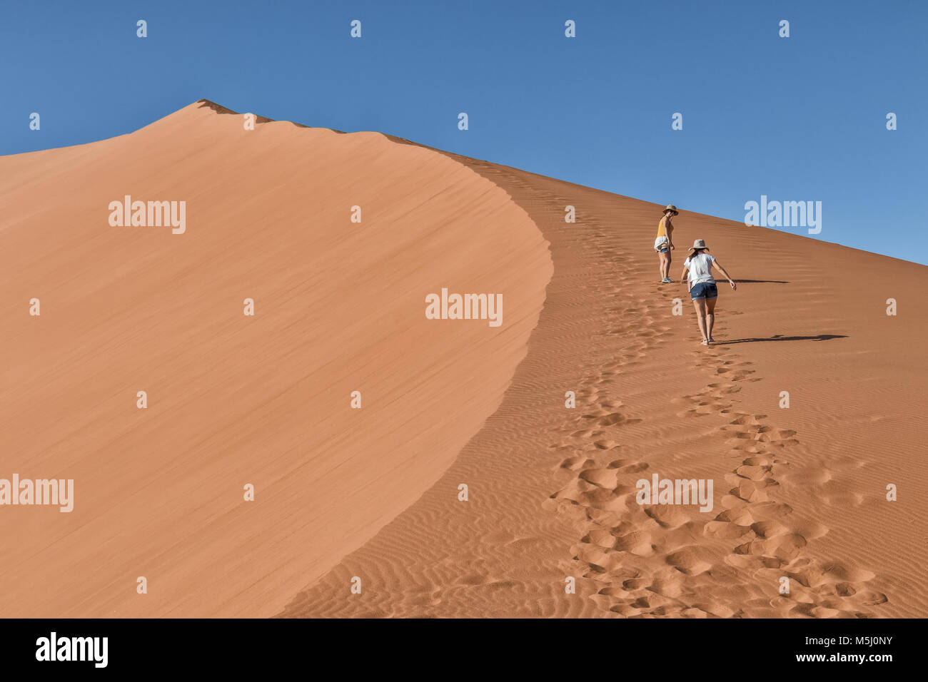 Big mama sand dune sossusvlei -Fotos und -Bildmaterial in hoher ...