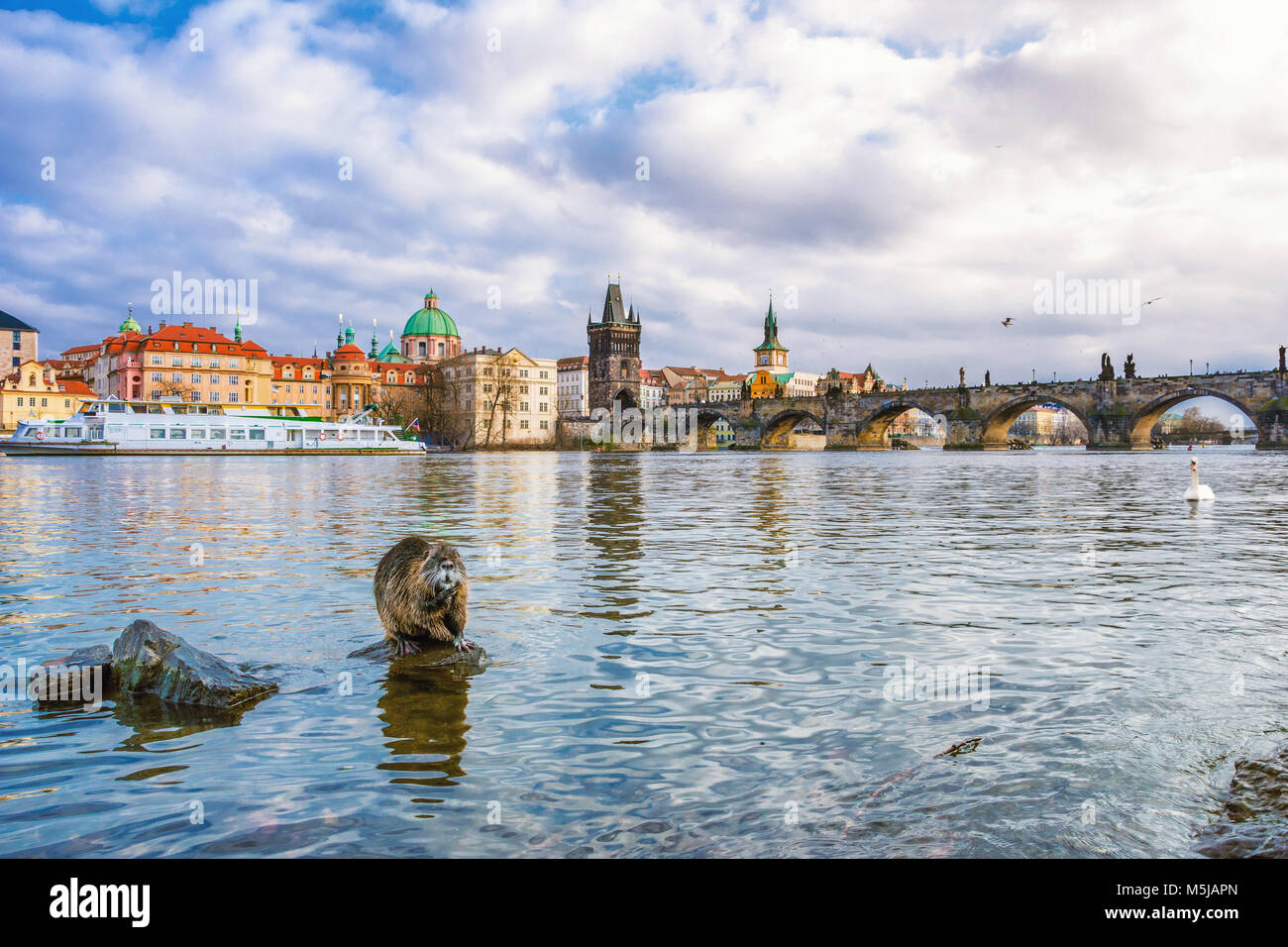 Beaver castle -Fotos und -Bildmaterial in hoher Auflösung – Alamy