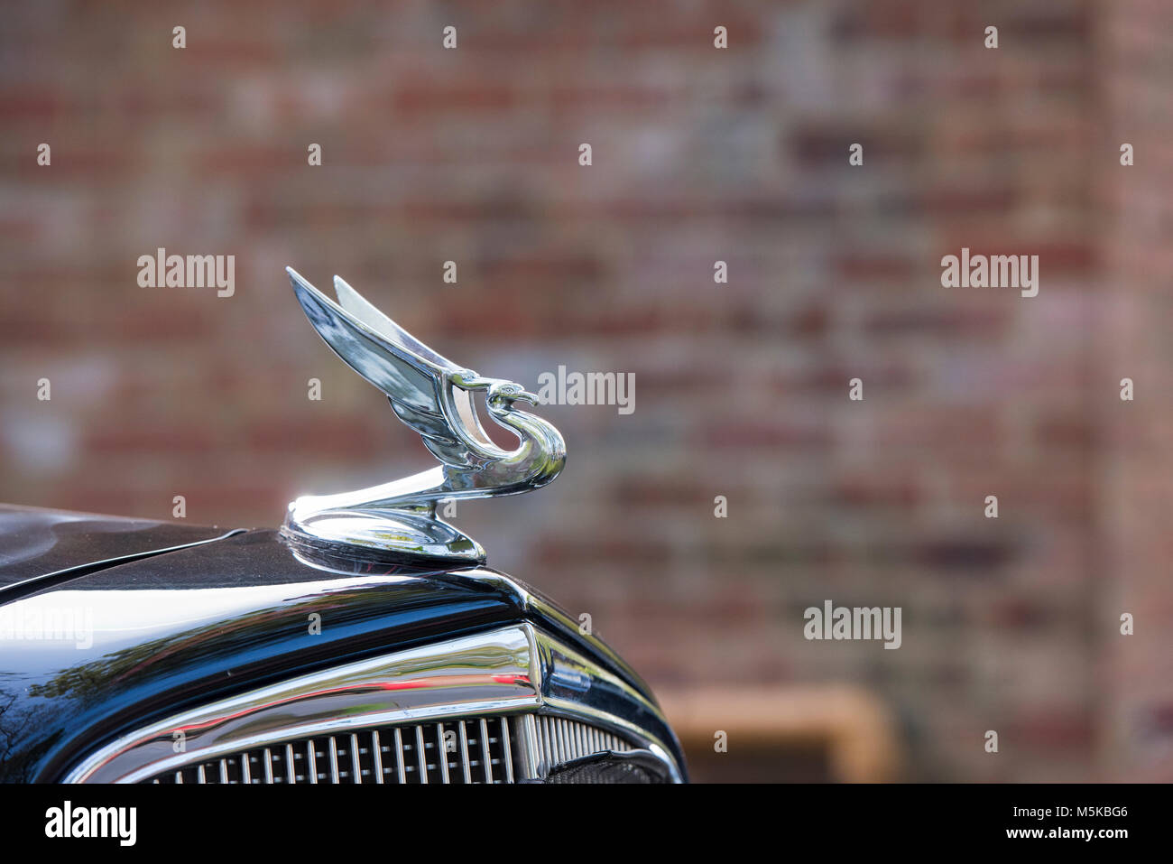 Adler vintage car -Fotos und -Bildmaterial in hoher Auflösung – Alamy