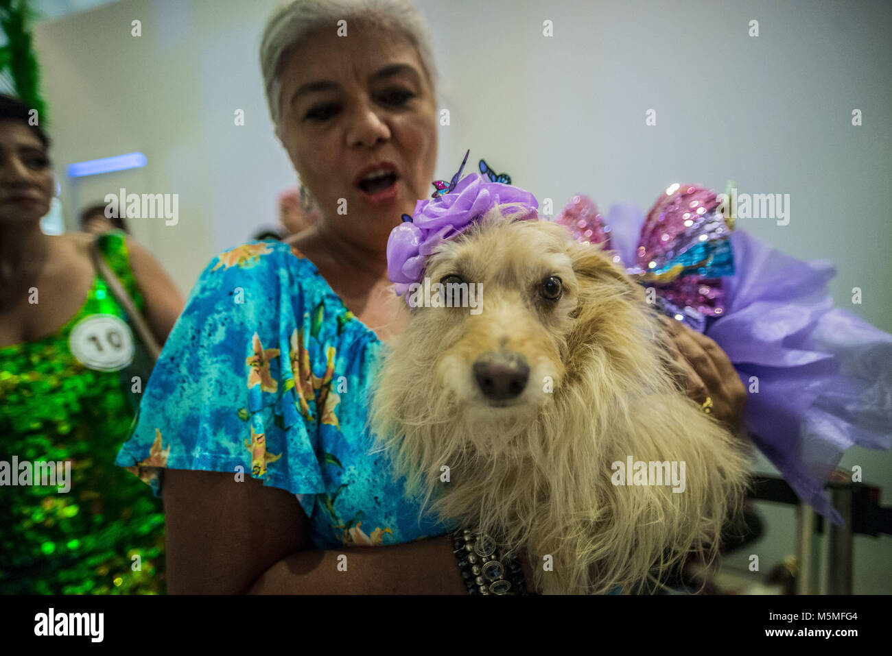 Sao Paulo, Brasilien. 25. Februar, 2018. Mehrere Rassen von Hunden und ...