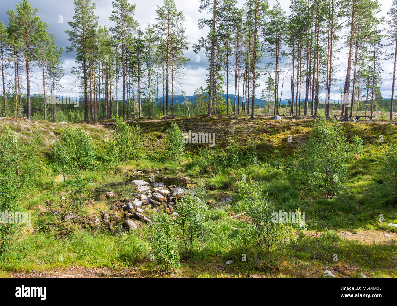 Meteorite crater sweden -Fotos und -Bildmaterial in hoher Auflösung – Alamy