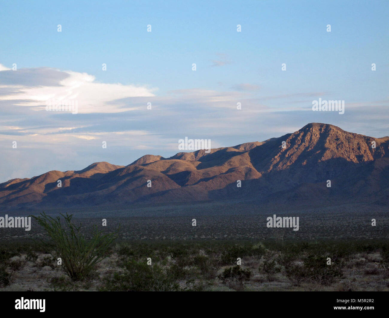 Pinto basin -Fotos und -Bildmaterial in hoher Auflösung – Alamy
