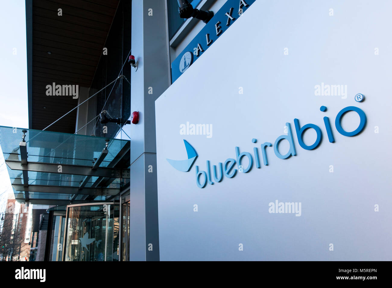 Bluebird bio -Fotos und -Bildmaterial in hoher Auflösung – Alamy