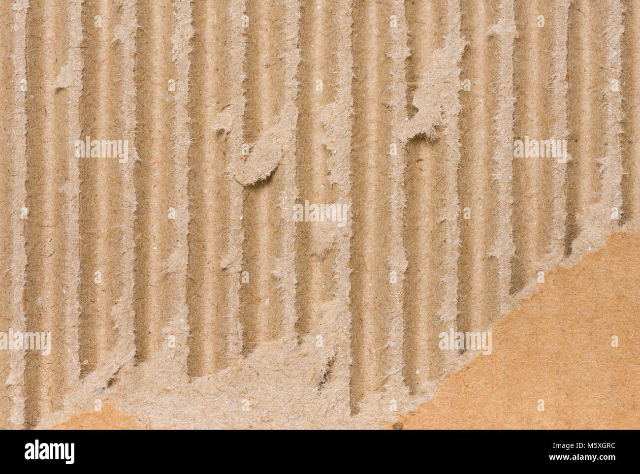 Pappkarton kunst -Fotos und -Bildmaterial in hoher Auflösung – Alamy