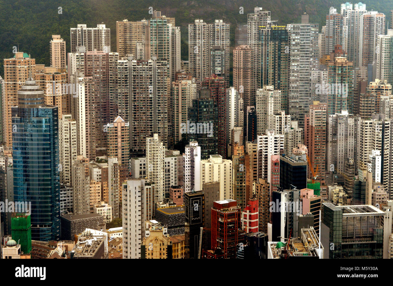 Hong Kong Hauser