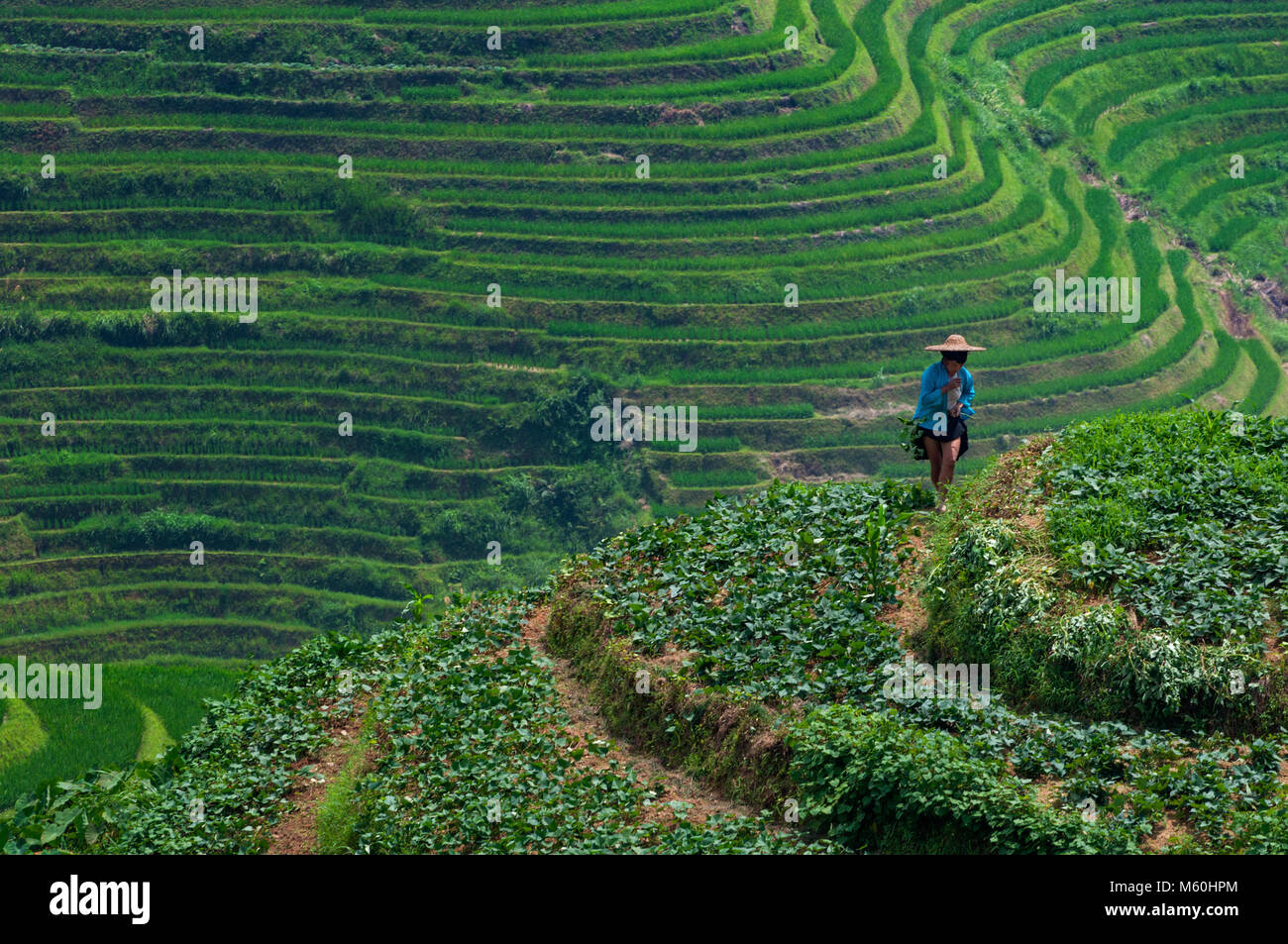 Yao dorf dazhai -Fotos und -Bildmaterial in hoher Auflösung – Alamy
