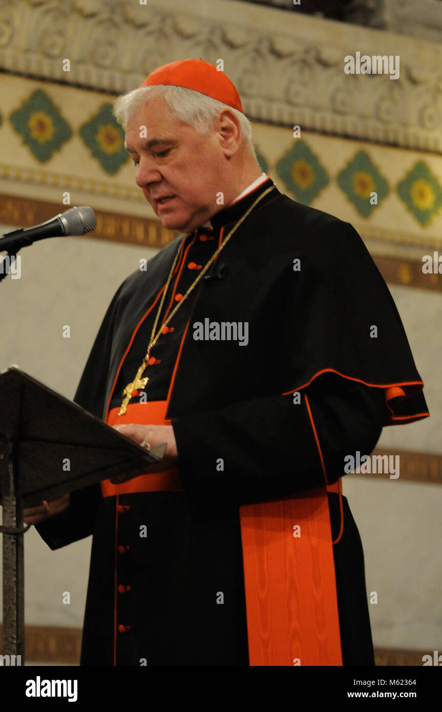 German cardinal -Fotos und -Bildmaterial in hoher Auflösung - Seite 2 ...
