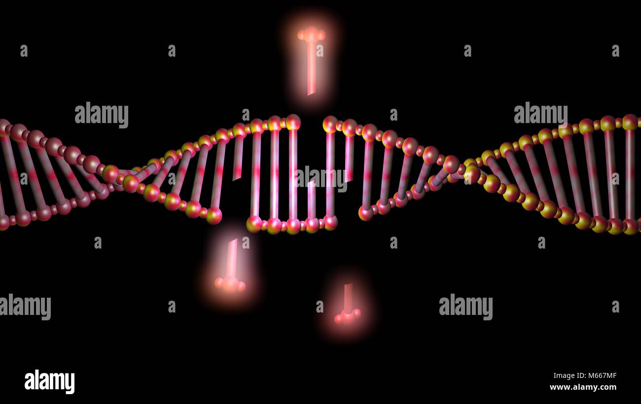 Crispr rna -Fotos und -Bildmaterial in hoher Auflösung - Seite 2 - Alamy