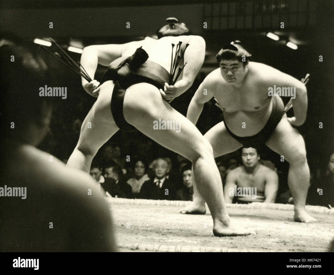 Wrestler sumo -Fotos und -Bildmaterial in hoher Auflösung – Alamy