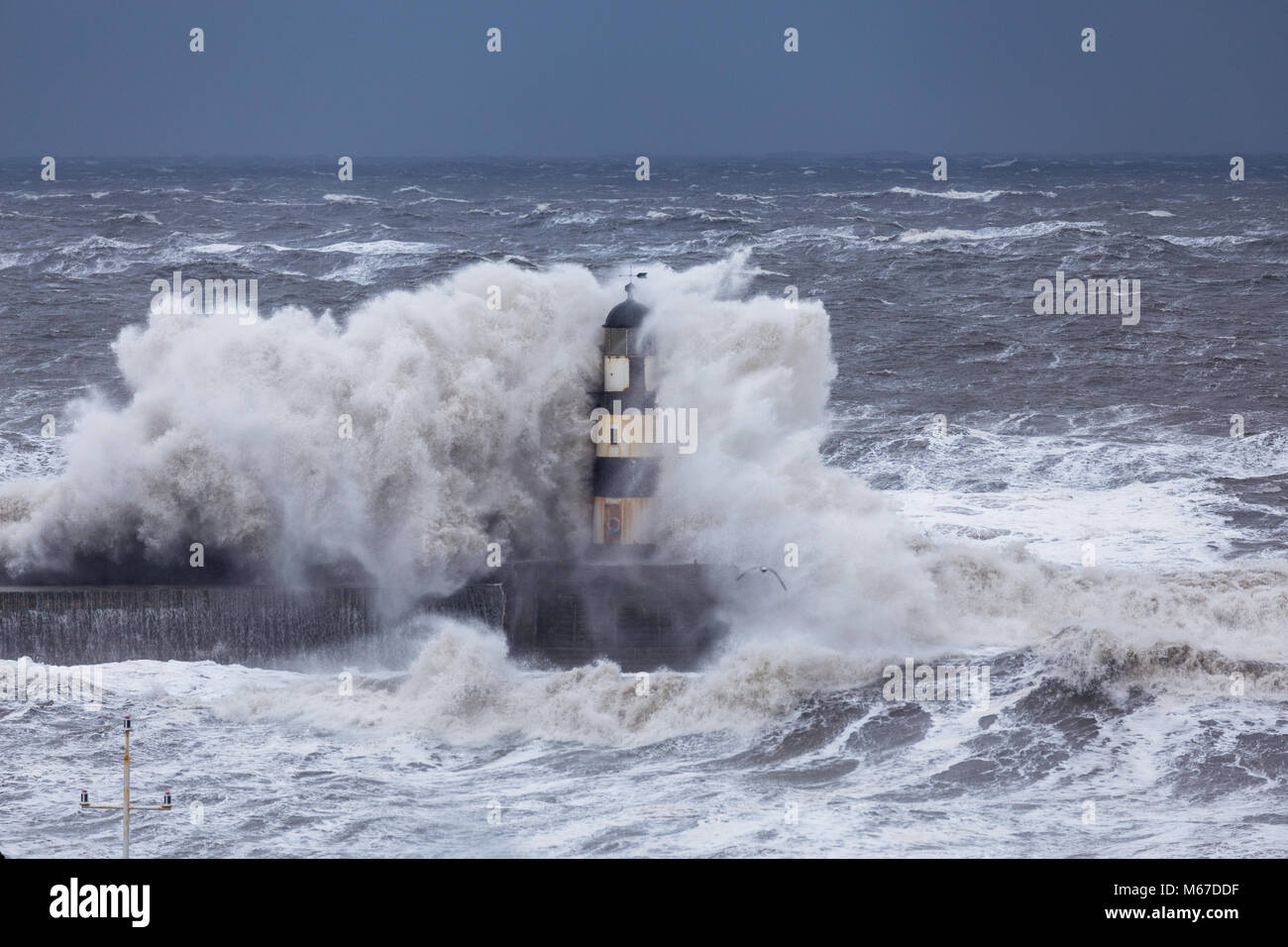 Meer aus dem osten schnee -Fotos und -Bildmaterial in hoher Auflösung ...