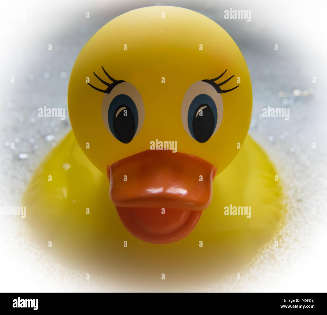 Gummiente im mund -Fotos und -Bildmaterial in hoher Auflösung – Alamy