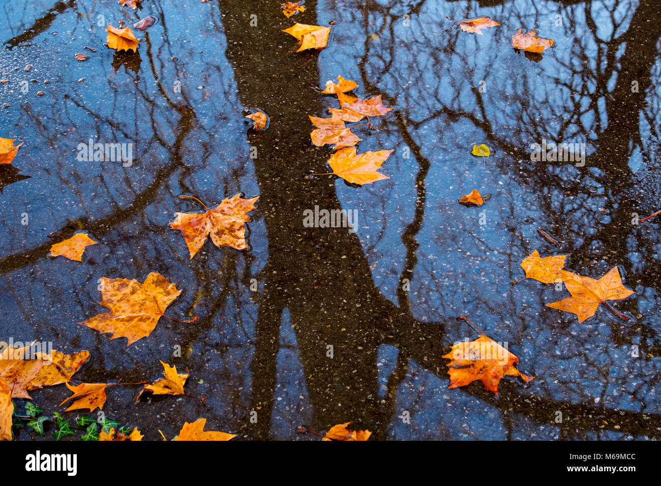 Regen schweiz Stockfotos und -bilder Kaufen - Alamy