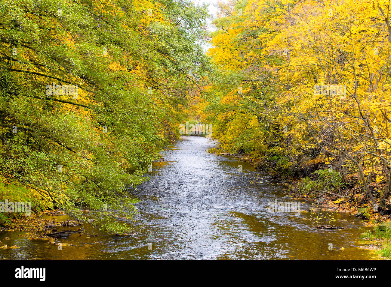 Schwarzatal tal -Fotos und -Bildmaterial in hoher Auflösung – Alamy