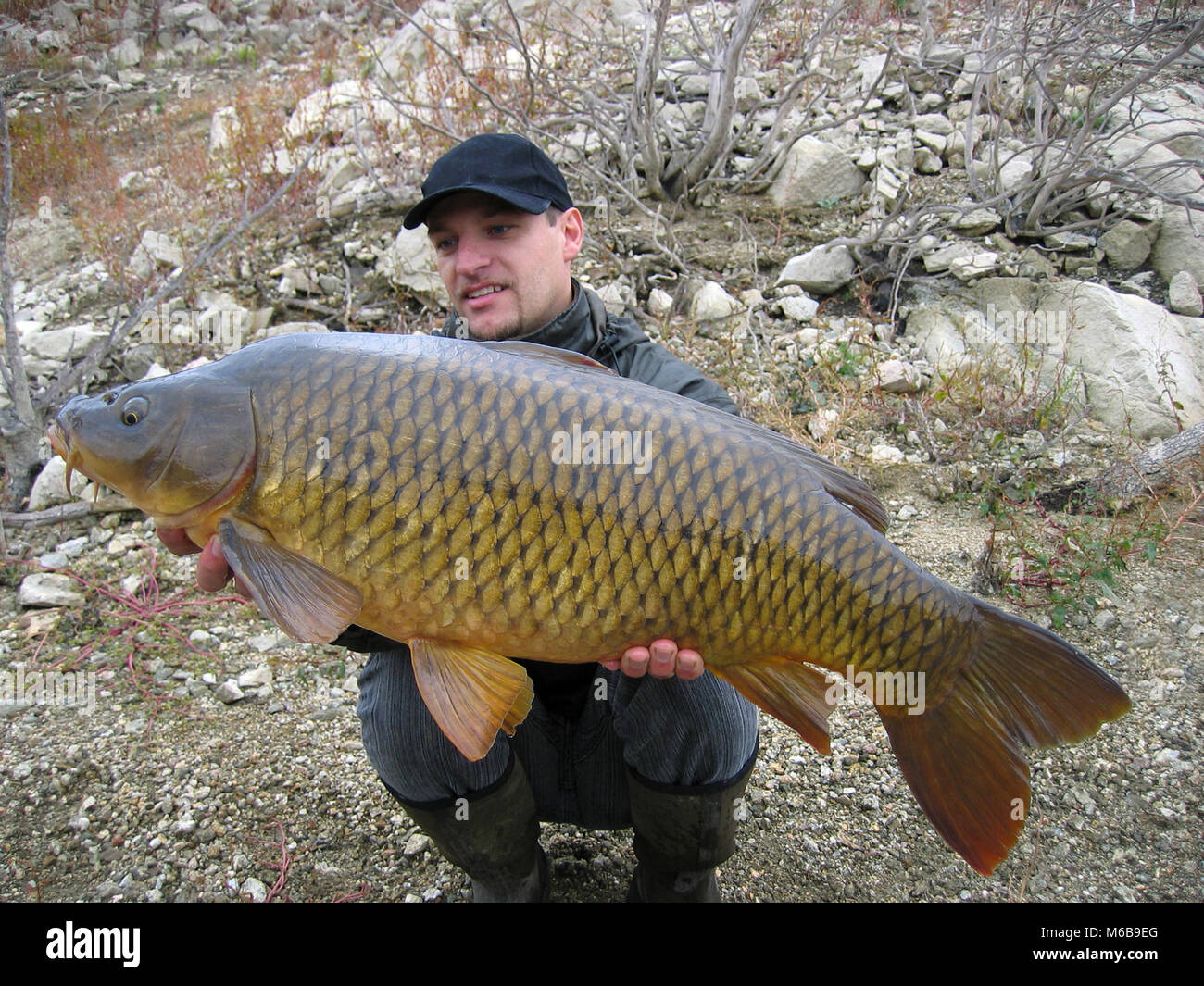 Happy fisherman Holding eine massive Spiegelkarpfen. Ctach Fisch ...