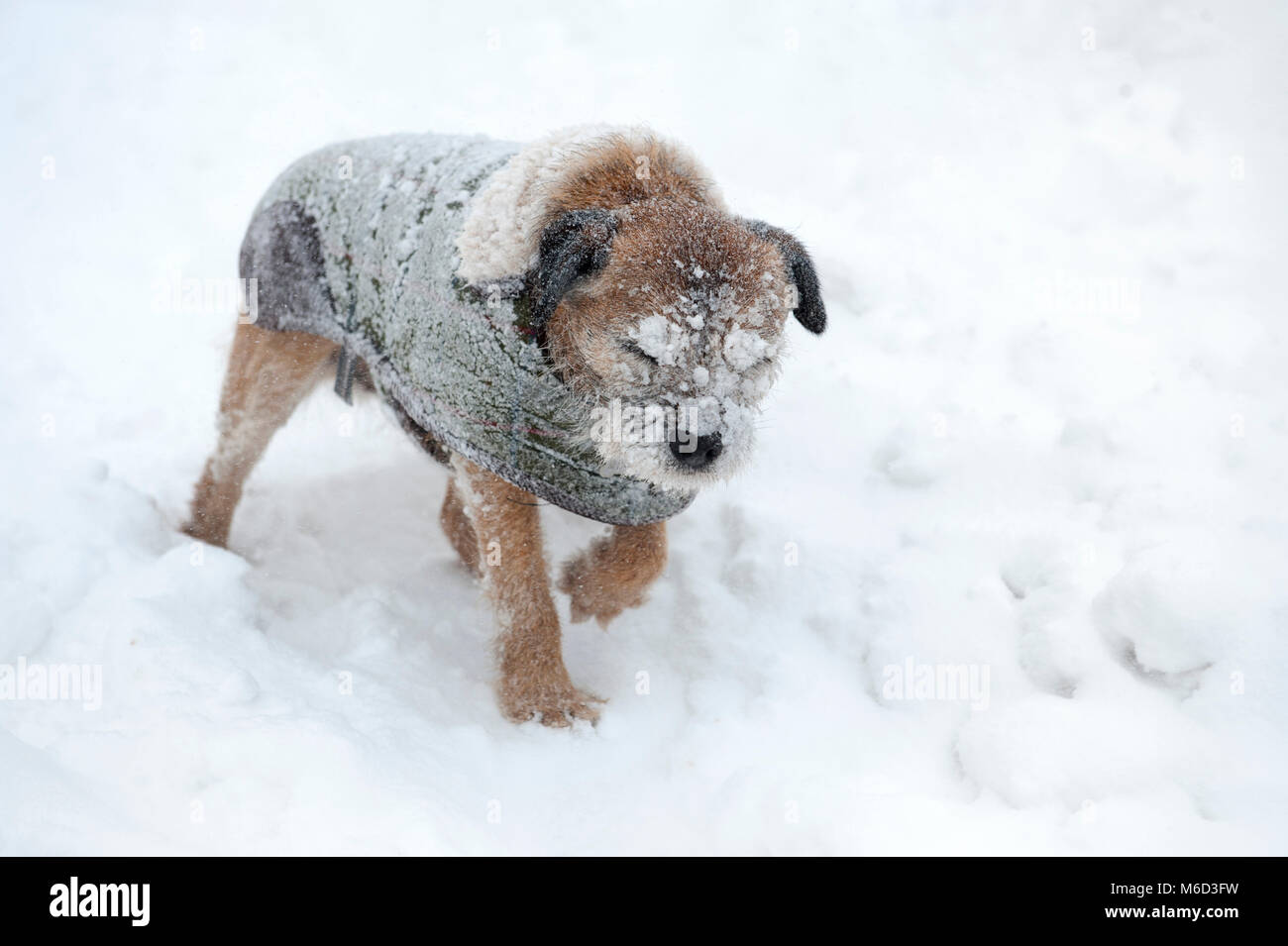 Herefordshire, UK. 2. März 2018. Die Straßen um das Dorf Little Cowarne ...