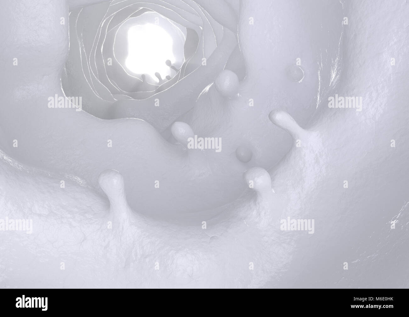 Darmpolypen closeup - weiße Haut - 3D-Rendering Stockfotografie - Alamy