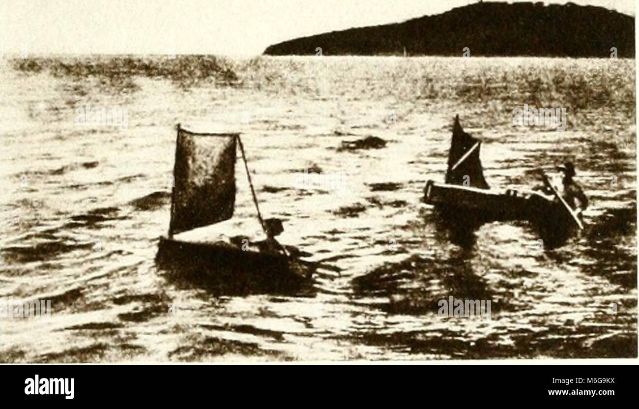 Die tokes Datensätze; Hinweise zur Herkunft und Leben von Anson Phelps ...