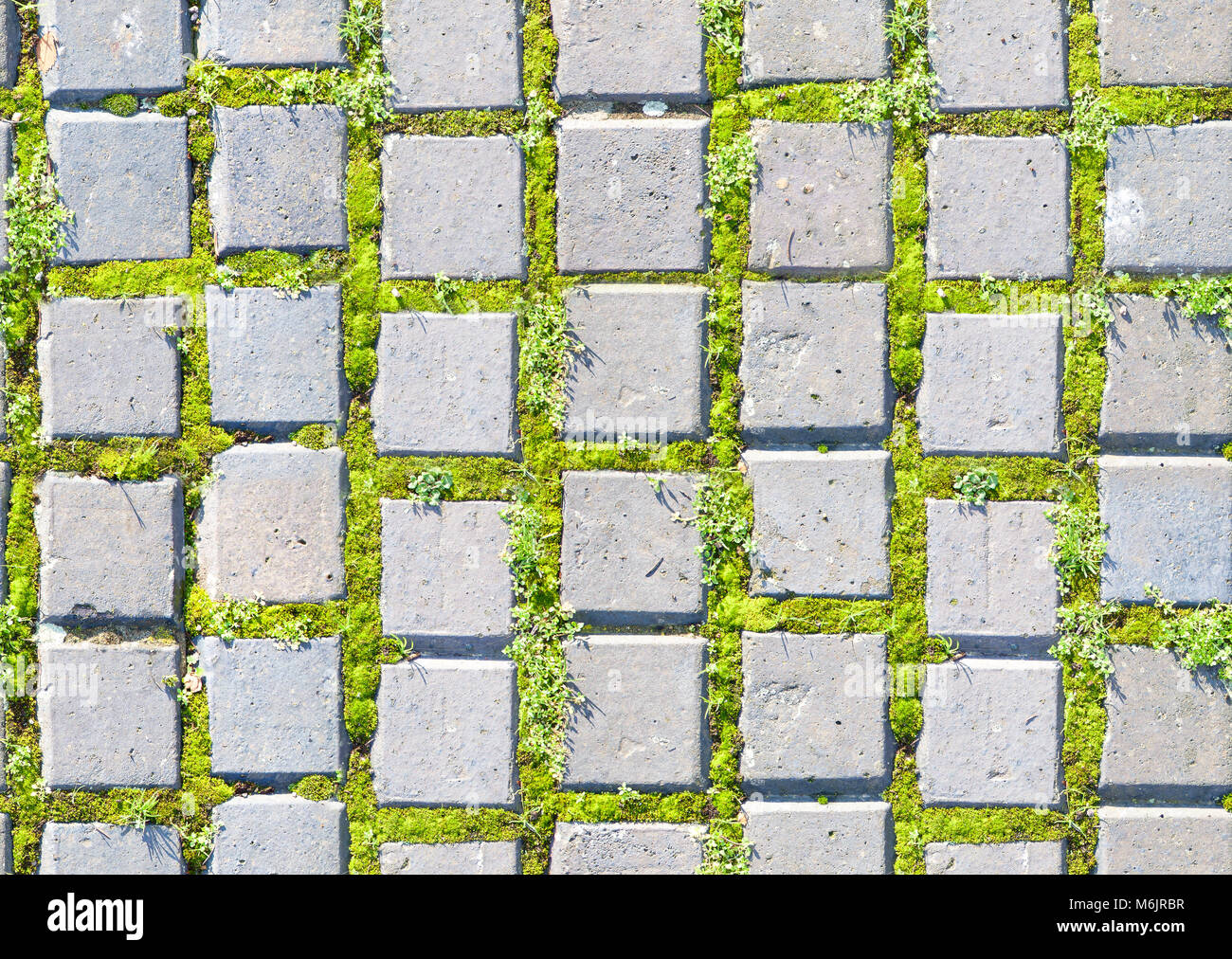Grass Paving Pattern Surface Stockfotos & Grass Paving Pattern Surface ...
