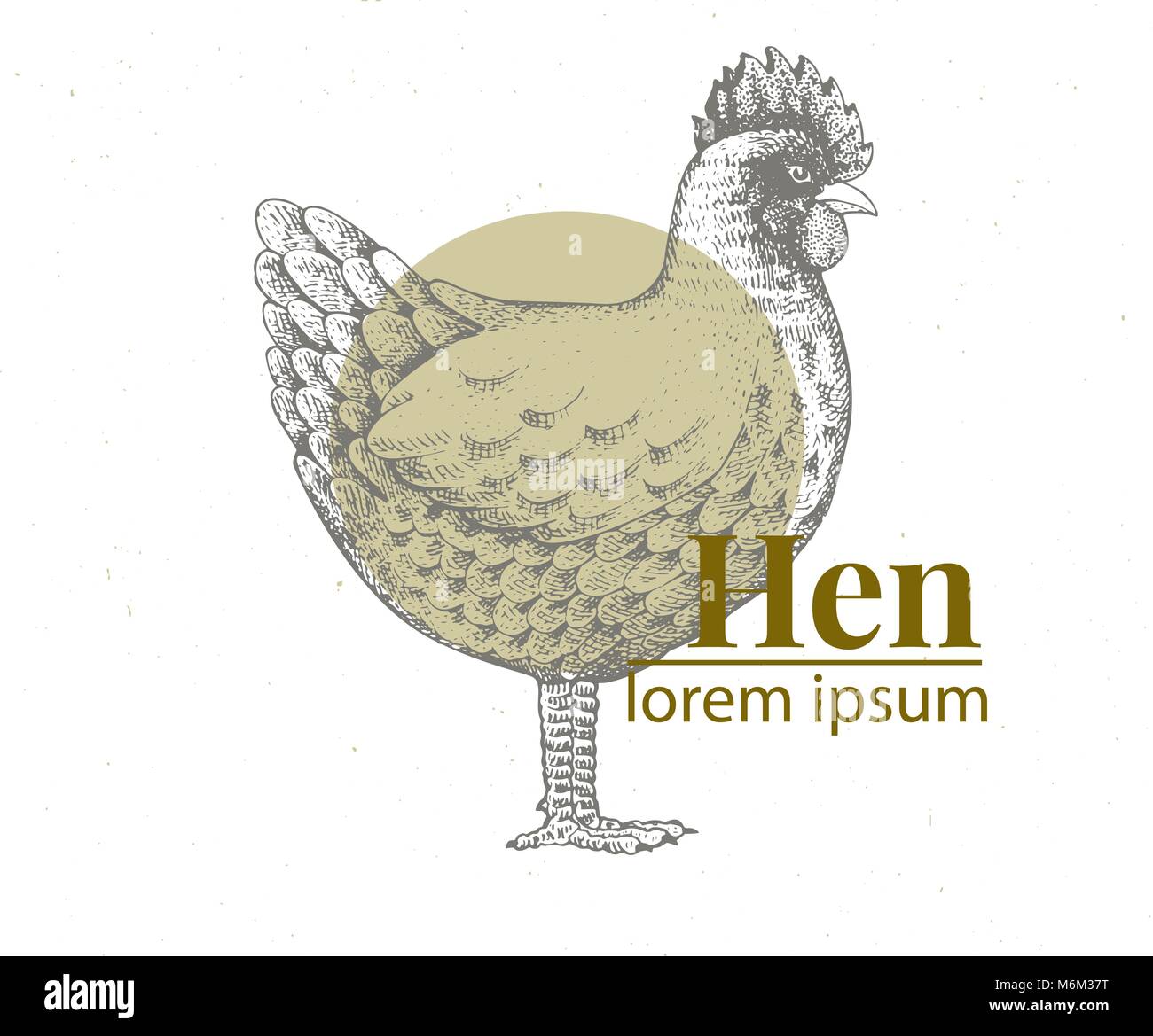 Vektor Hand gezeichnet Huhn Abbildung. Vintage Gravur Stil. Skizze farm ...
