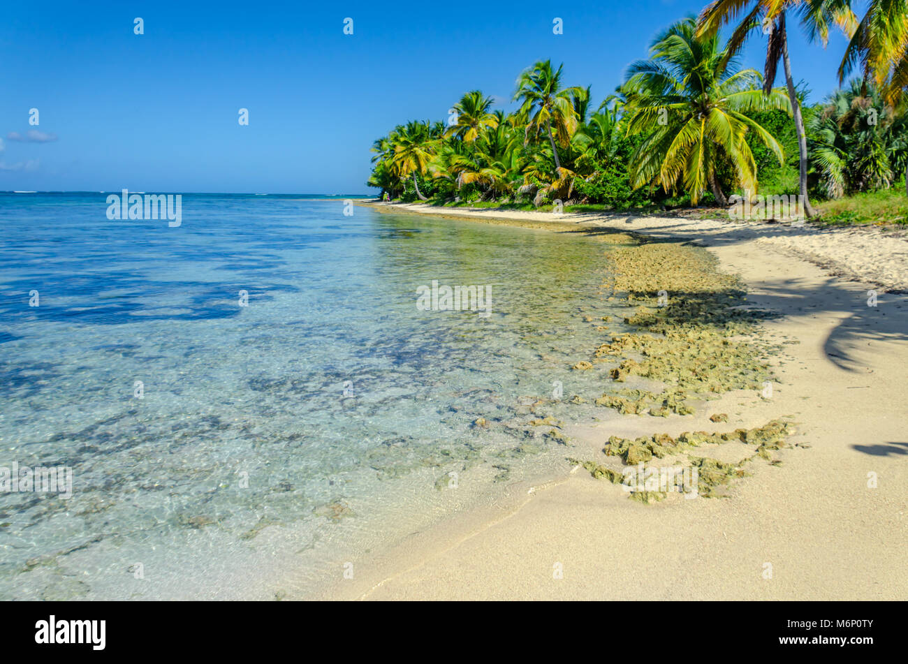 Menschen, Die Strand Stockfotos und -bilder Kaufen - Alamy