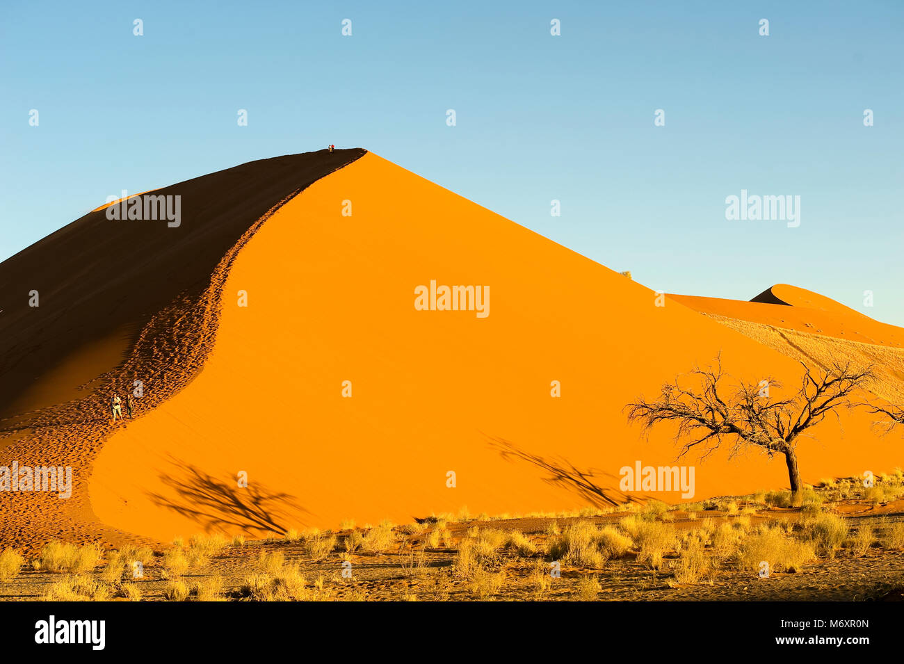 Roten Dünen im Sossusvlei, Namib-Naukluft-Nationalpark, Namibia ...