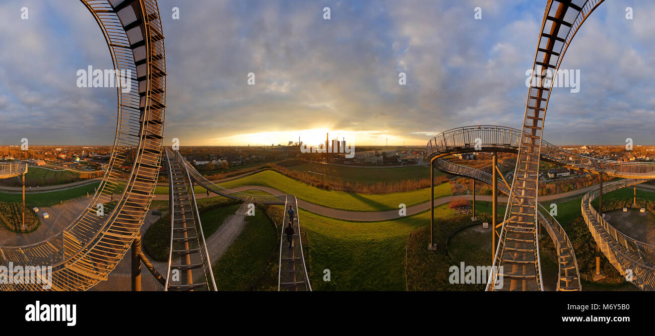 Tiger and turtle -Fotos und -Bildmaterial in hoher Auflösung – Alamy