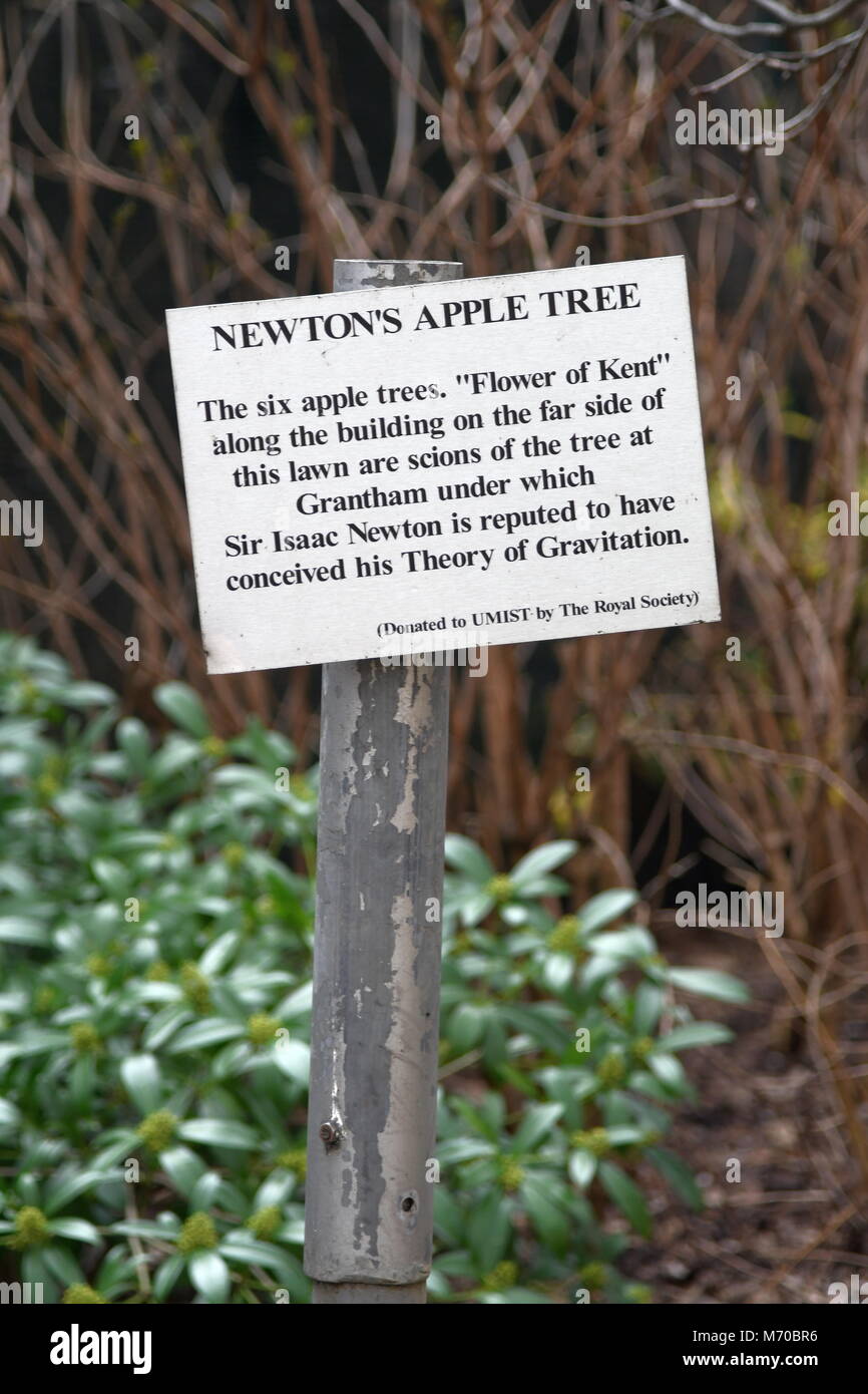 Isaac Newton Tree Stockfotos und -bilder Kaufen - Alamy