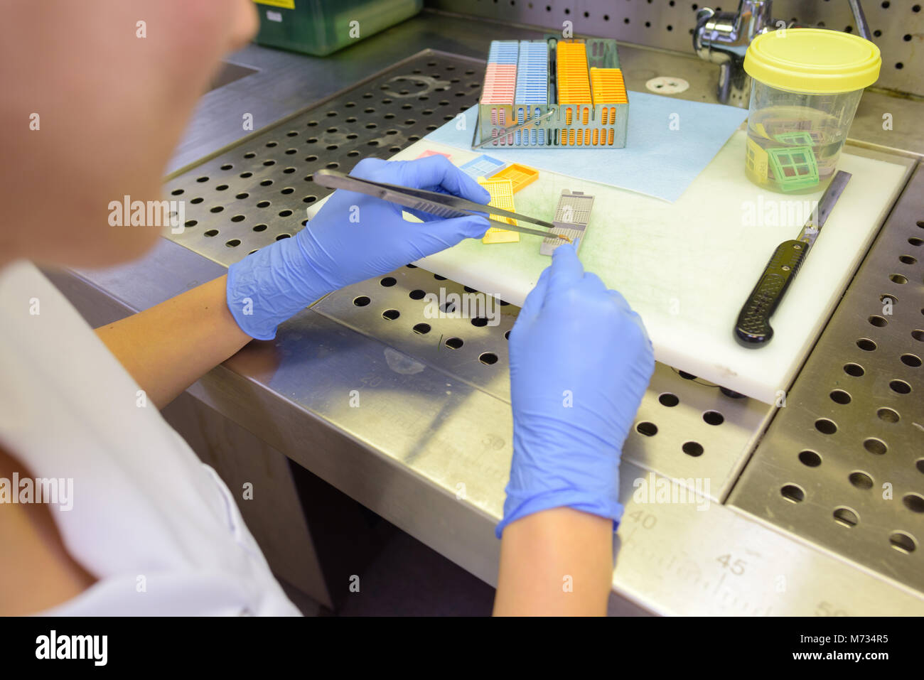 Beweise analysieren -Fotos und -Bildmaterial in hoher Auflösung – Alamy