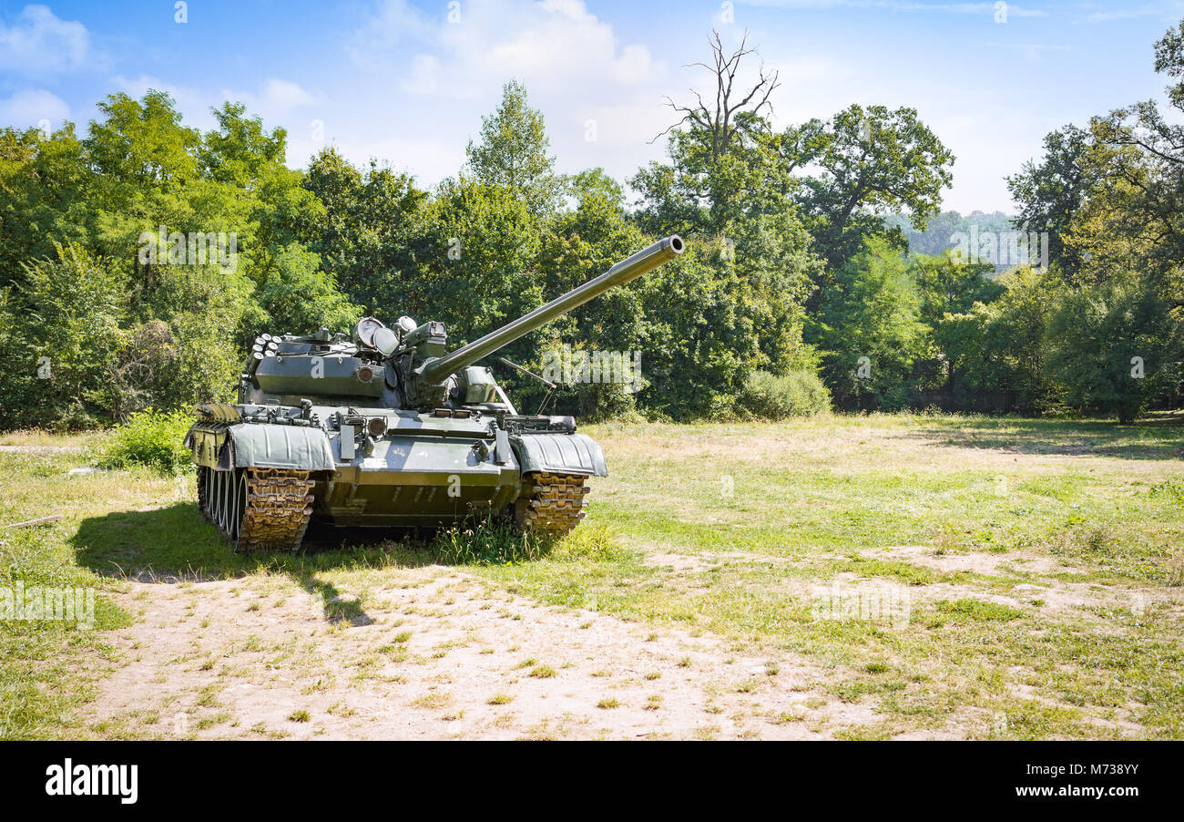 Panzer im wald tarnung -Fotos und -Bildmaterial in hoher Auflösung – Alamy