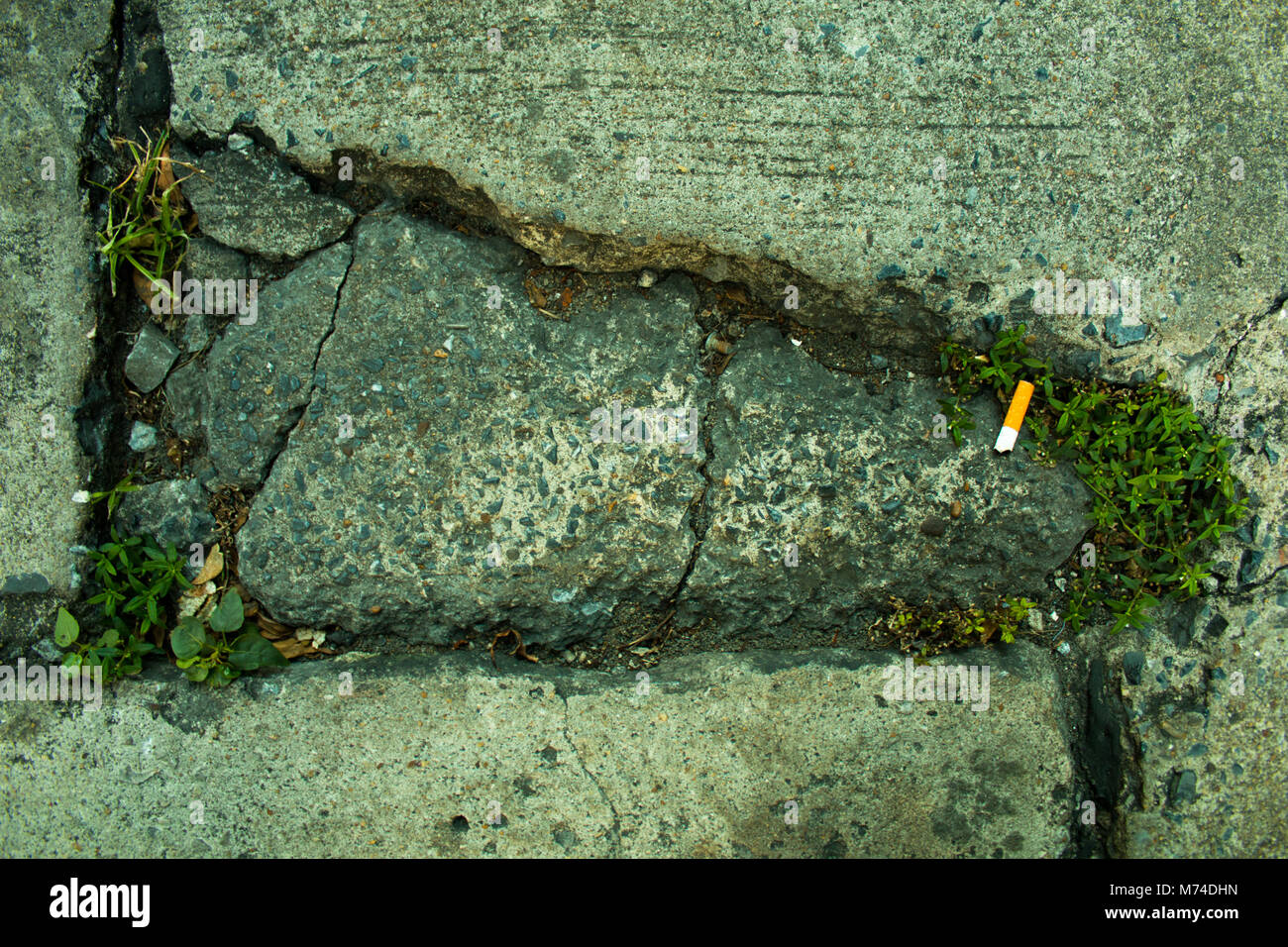 Cool tone -Fotos und -Bildmaterial in hoher Auflösung – Alamy