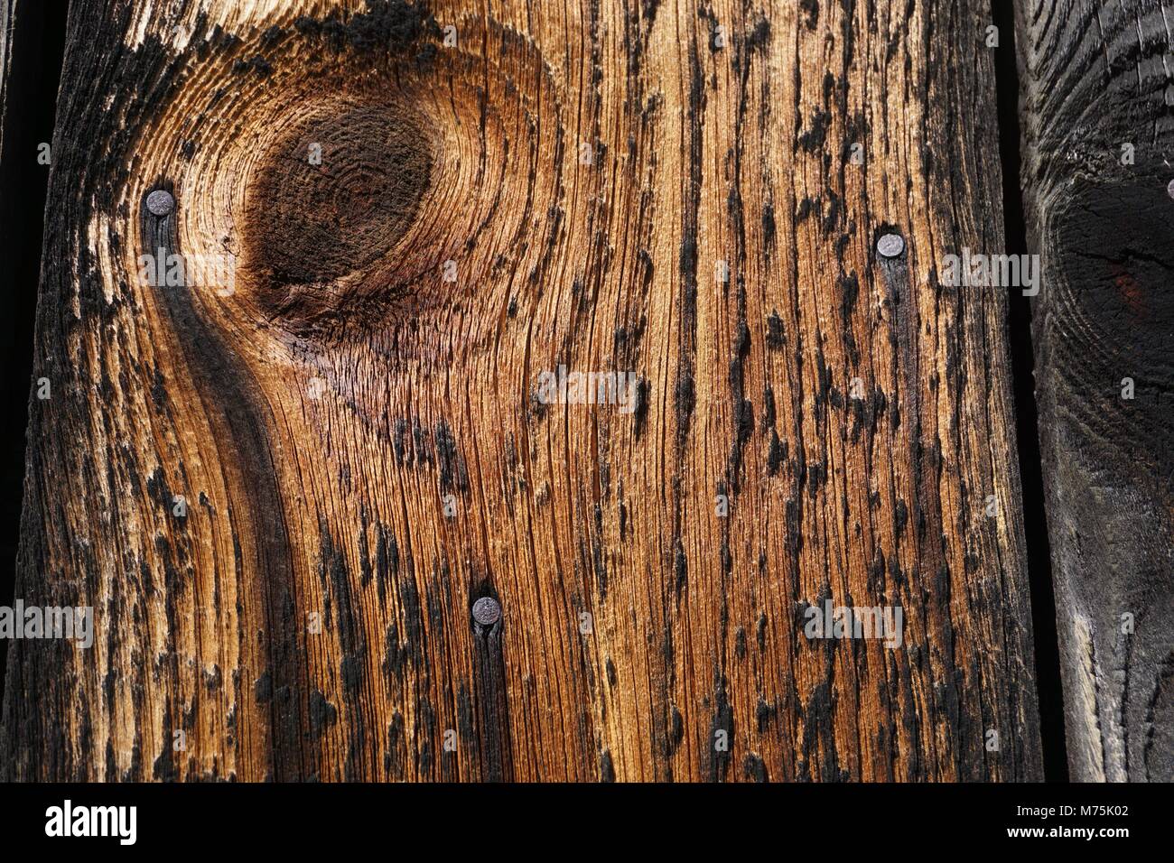 Eine Nahaufnahme von einem astloch in der unvollendeten, rohes Holz ...