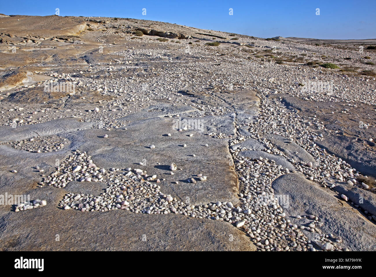 Dorob nationalpark -Fotos und -Bildmaterial in hoher Auflösung – Alamy