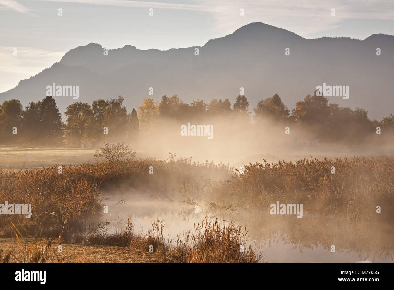 Herbst im uffing am staffelsee -Fotos und -Bildmaterial in hoher ...